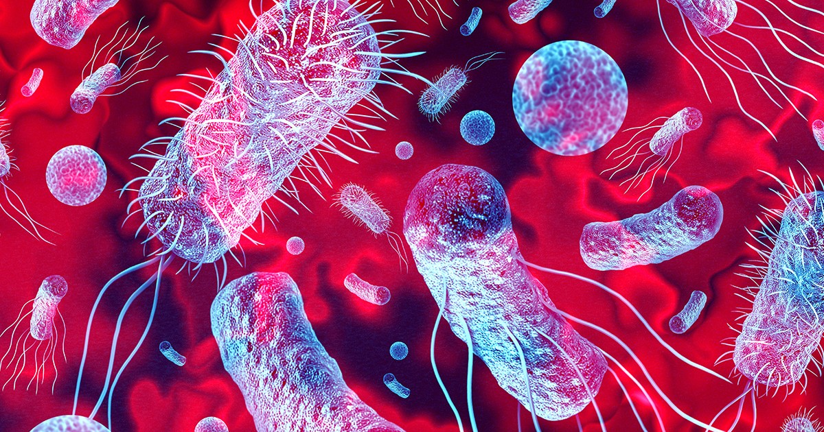 10 Common Bacteria Found in Everyday Environments