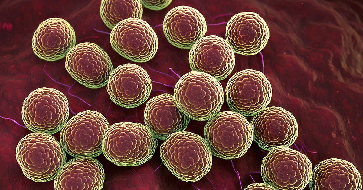 How Long Can MRSA Survive on a Surface?