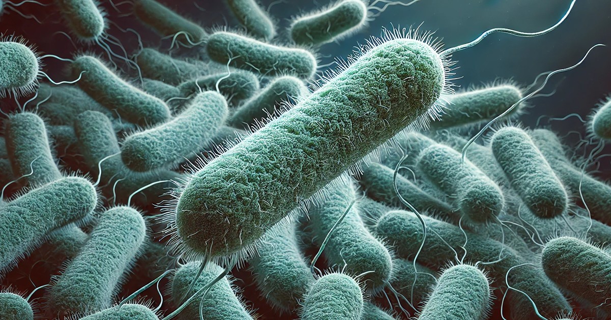 What is E. coli? Causes, Symptoms, and Prevention