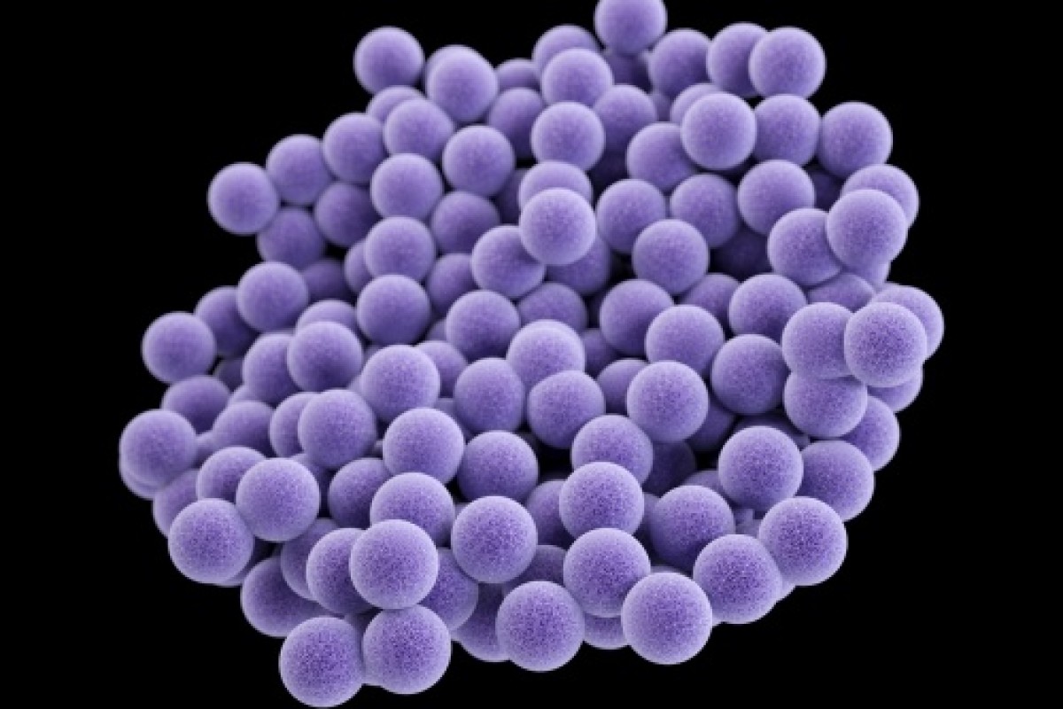 Ten Things About MRSA - Addmaster