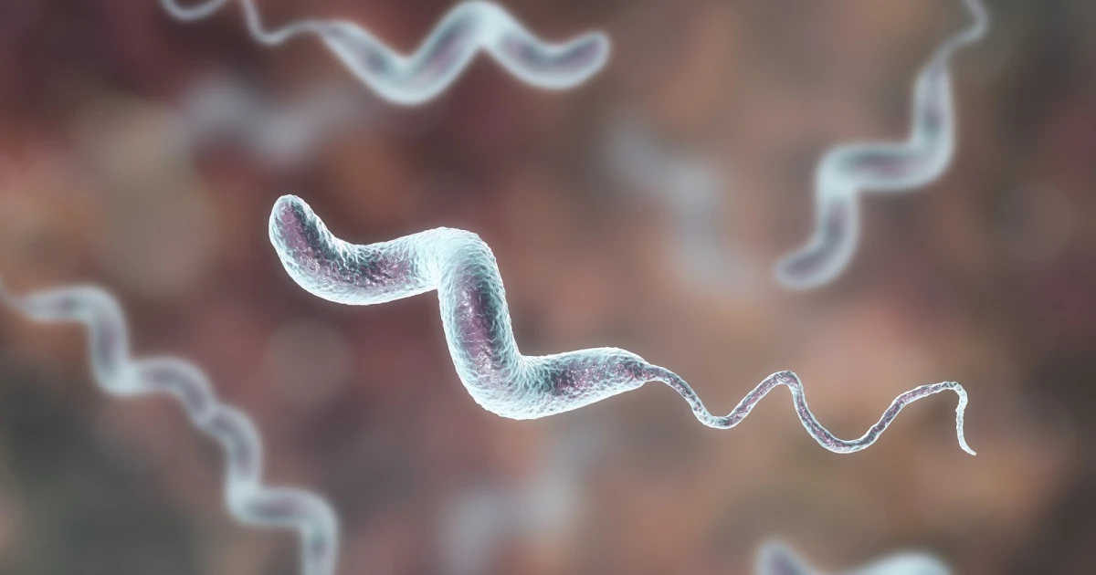 BBC's Countryfile highlights dangers of Campylobacter